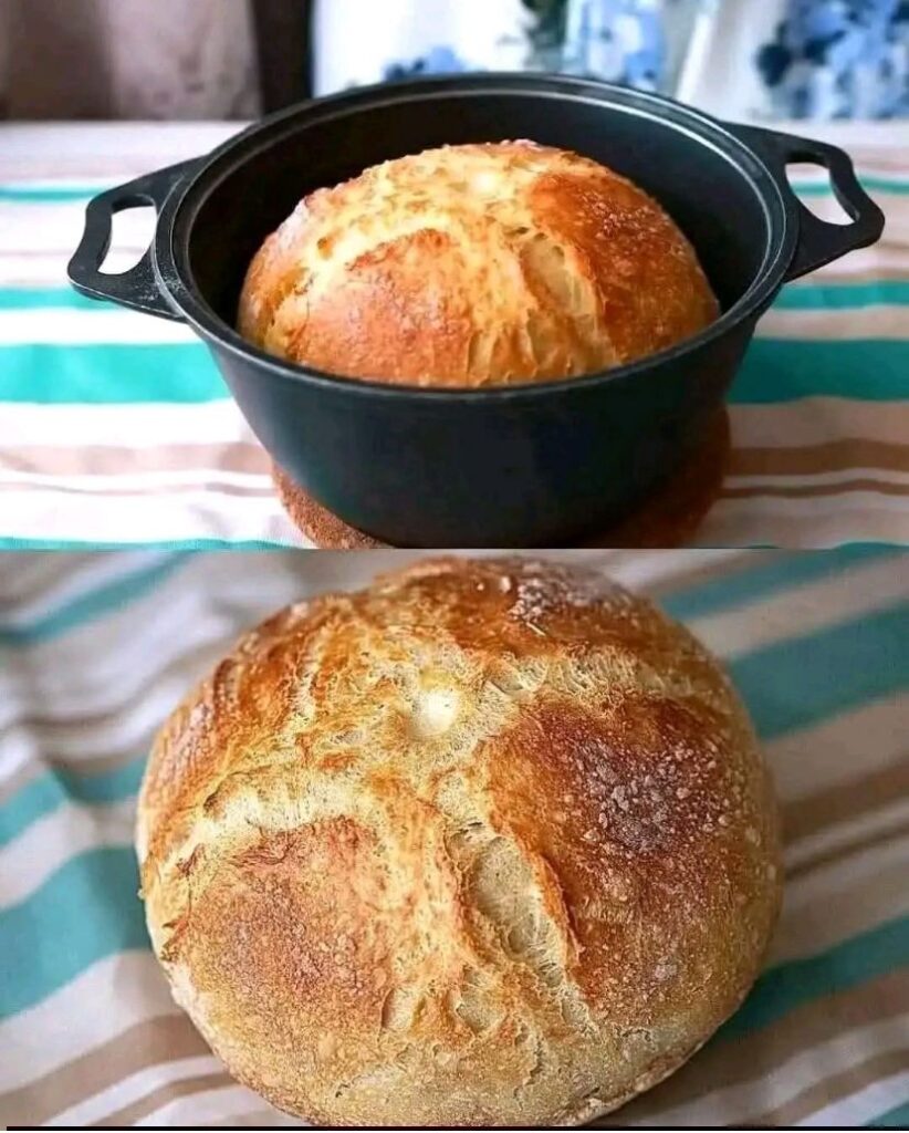 No-Knead Crusty Homemade Bread – Tasty Explorer